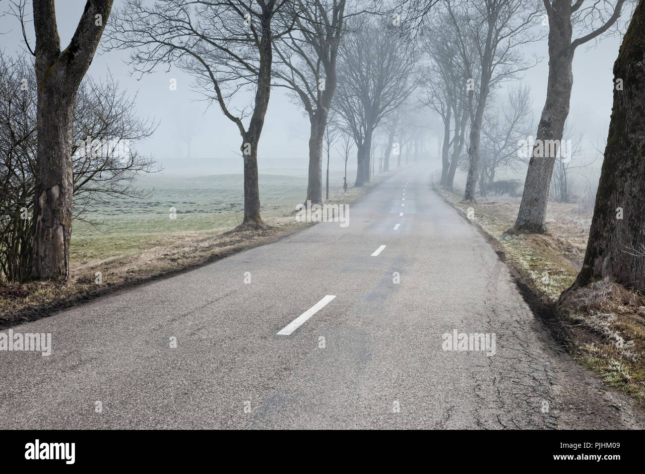 An image of a road with trees in bavaria germany Stock Photo - Alamy