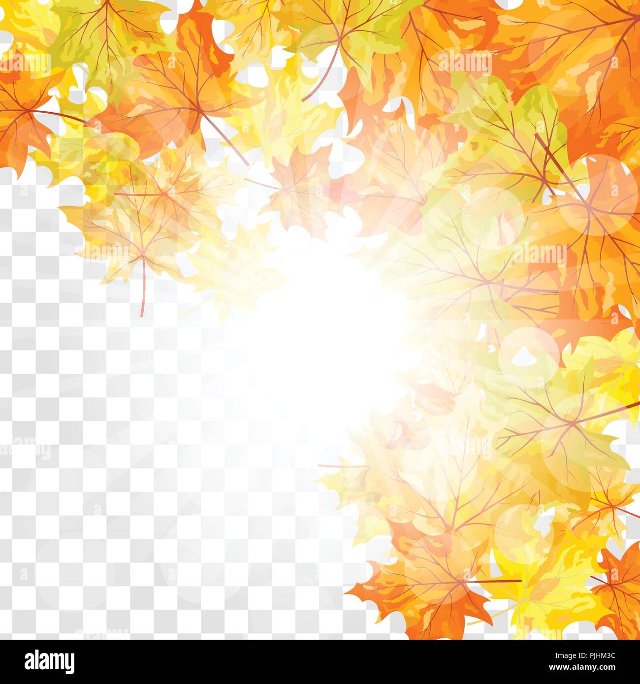 Autumn Frame With Falling Maple Leaves on transparency (alpha) grid ...