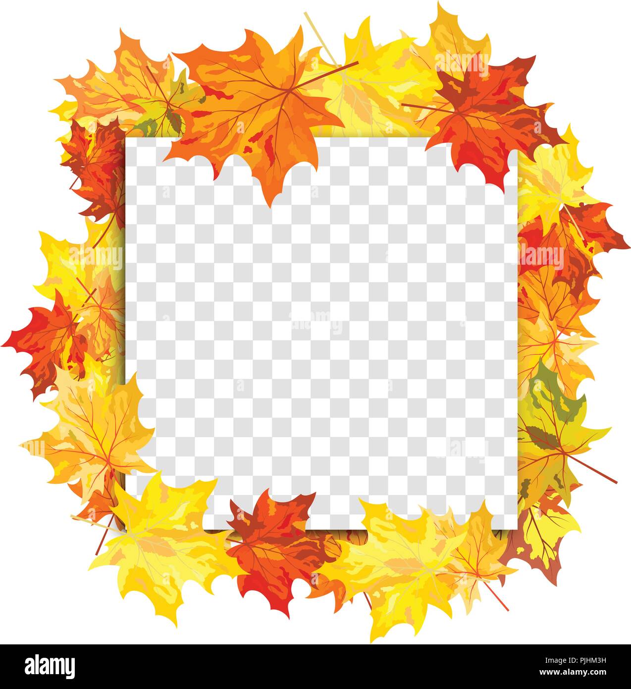 Autumn Frame With Falling Maple Leaves on transparency (alpha) grid ...