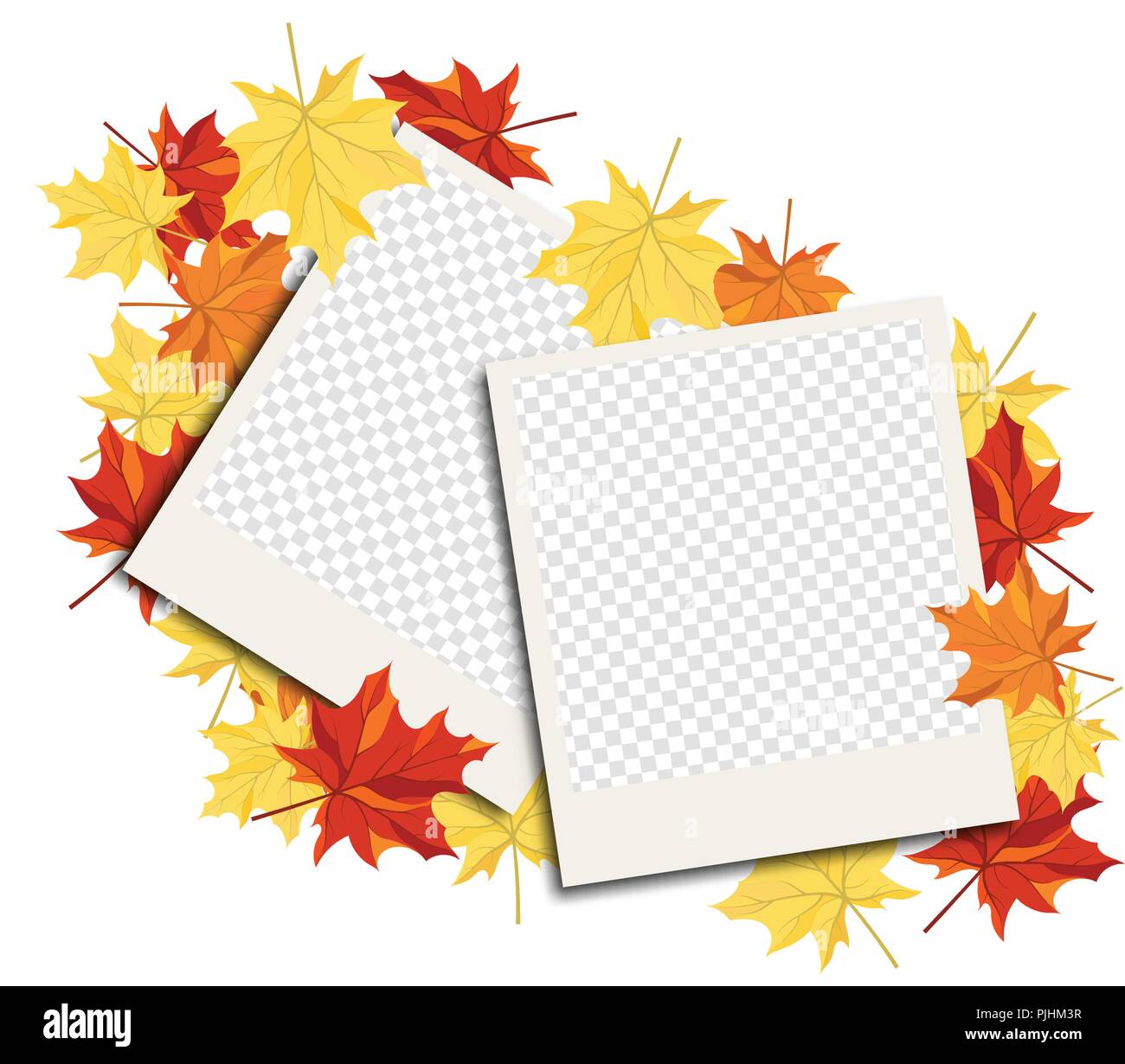 Autumn Frame With Falling Maple Leaves on transparency (alpha) grid ...