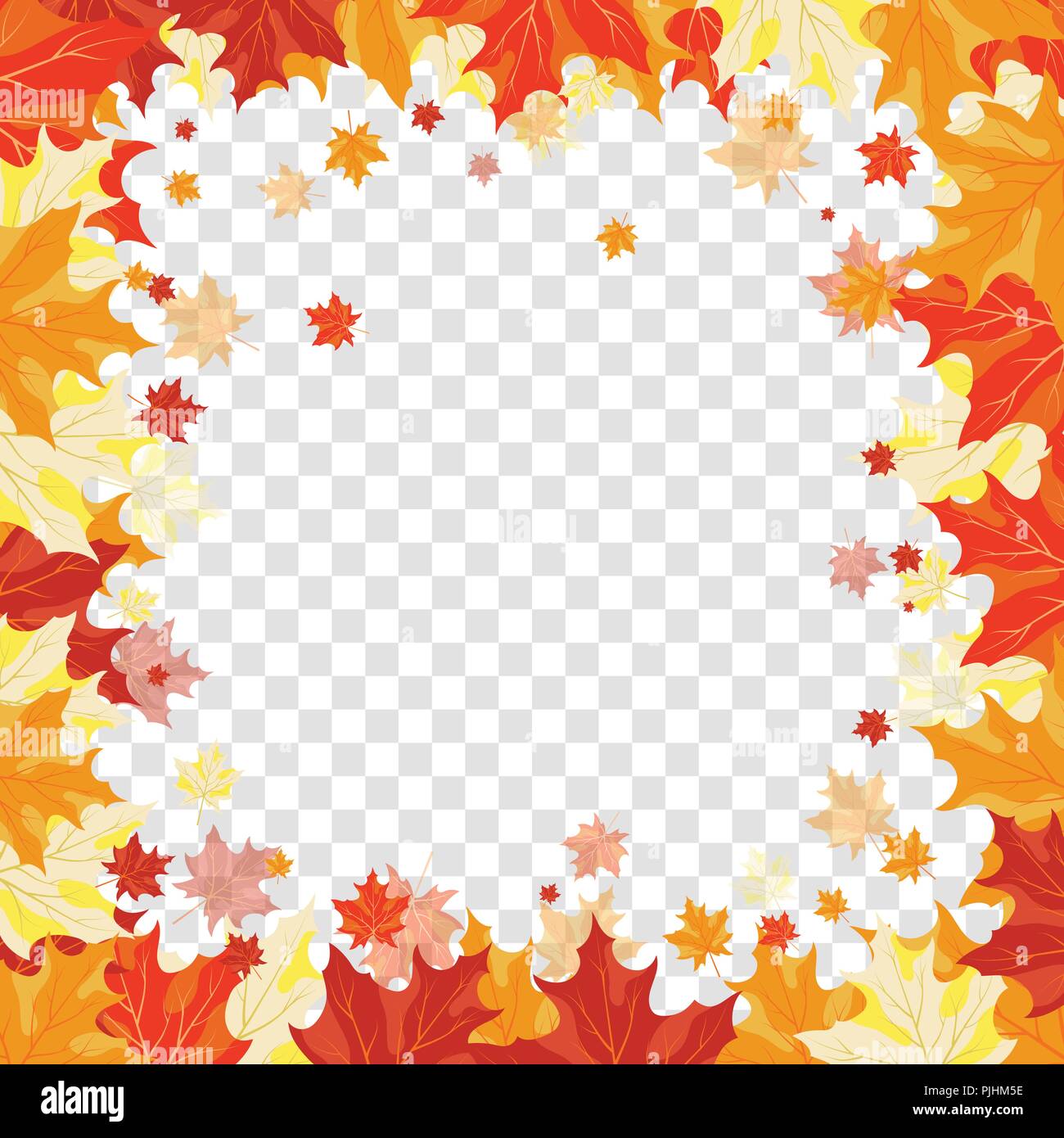 Autumn Frame With Falling Maple Leaves on transparency (alpha) grid ...