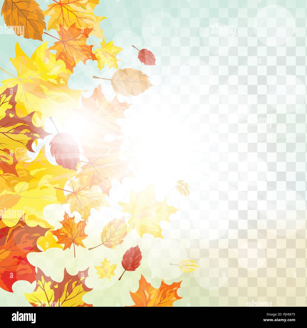 Autumn Frame With Falling Maple Leaves on transparency (alpha) grid ...
