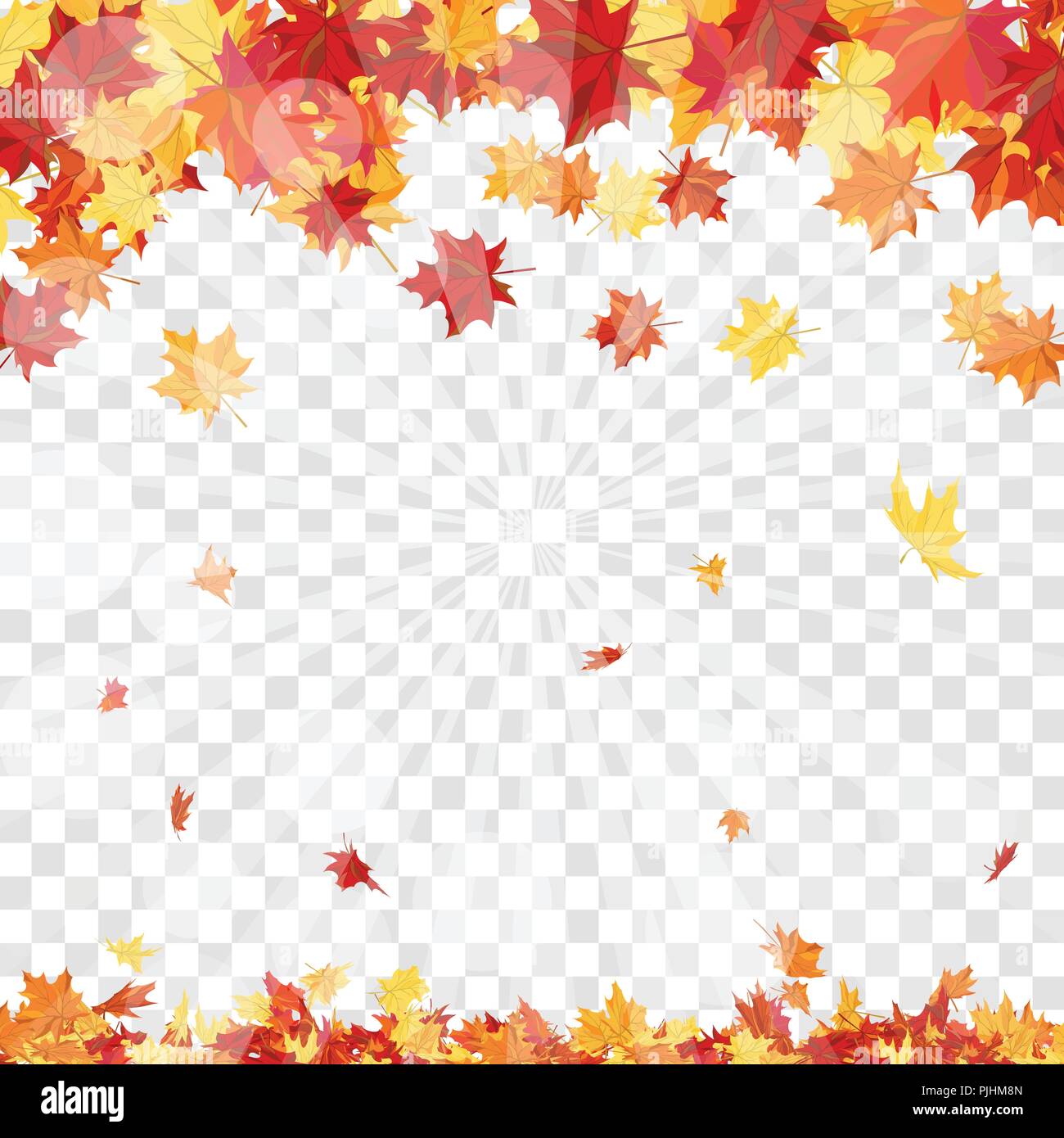 Autumn Frame With Falling Maple Leaves on transparency (alpha) grid ...