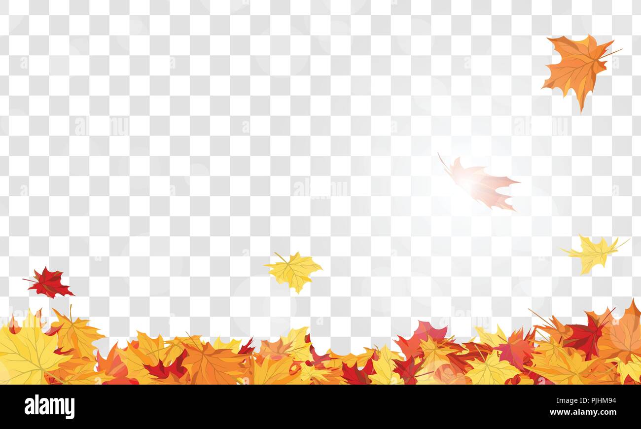 On transparent background alpha channel Stock Vector Images - Alamy