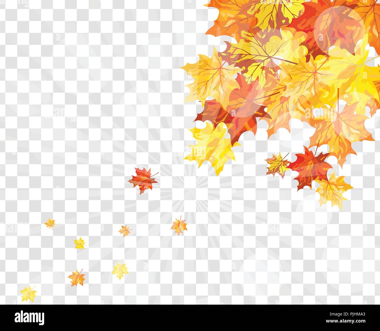 Autumn Frame With Falling Maple Leaves on transparency (alpha) grid ...