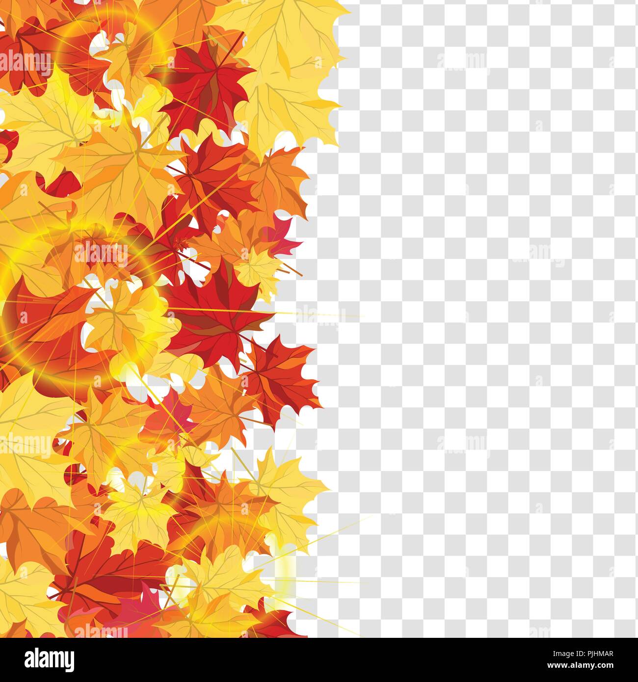 Autumn Frame With Falling Maple Leaves on transparency (alpha) grid ...