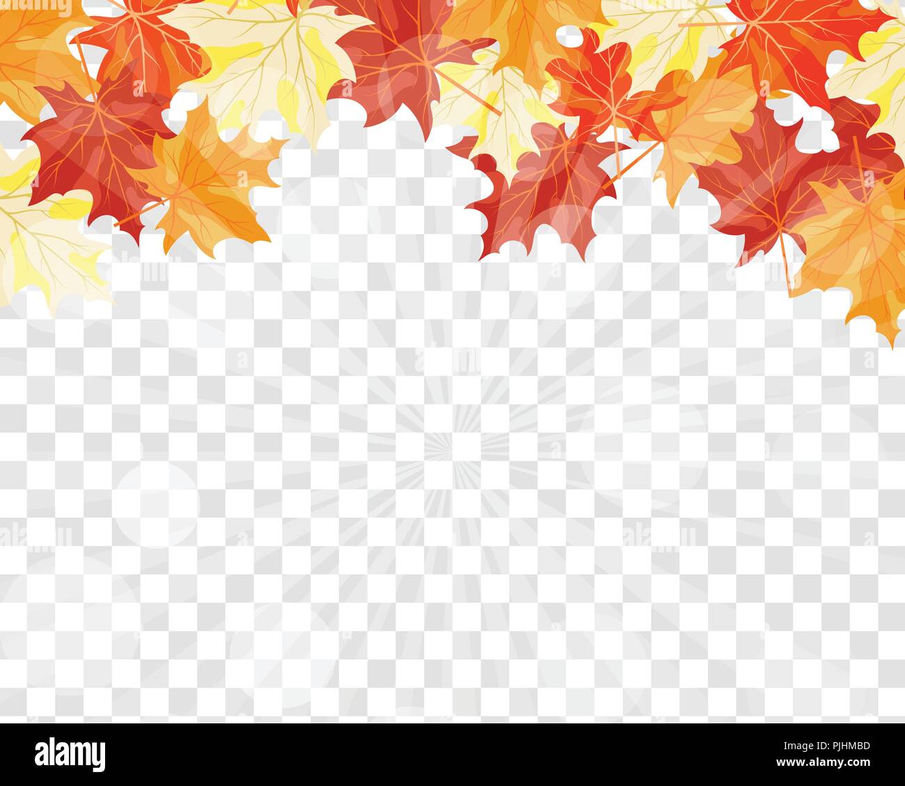 Autumn Frame With Falling Maple Leaves on transparency (alpha) grid ...