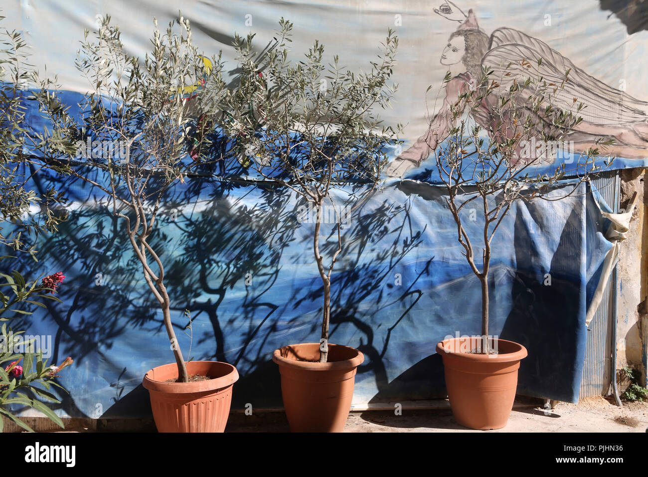 Olive trees greece hi-res stock photography and images - Alamy