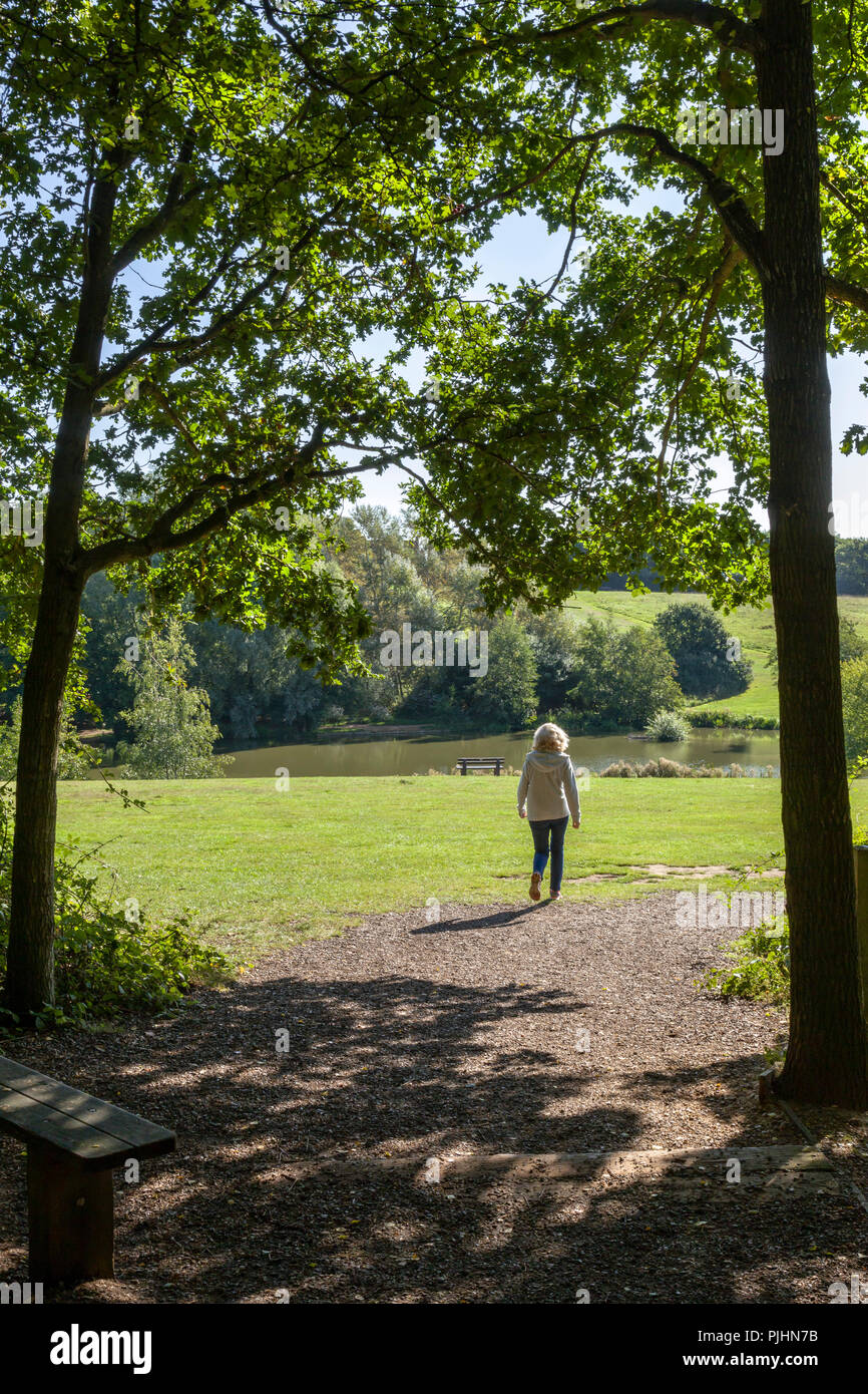 HIGH WOODS COUNTRY PARK, COLCHESTER, ESSEX Stock Photo - Alamy