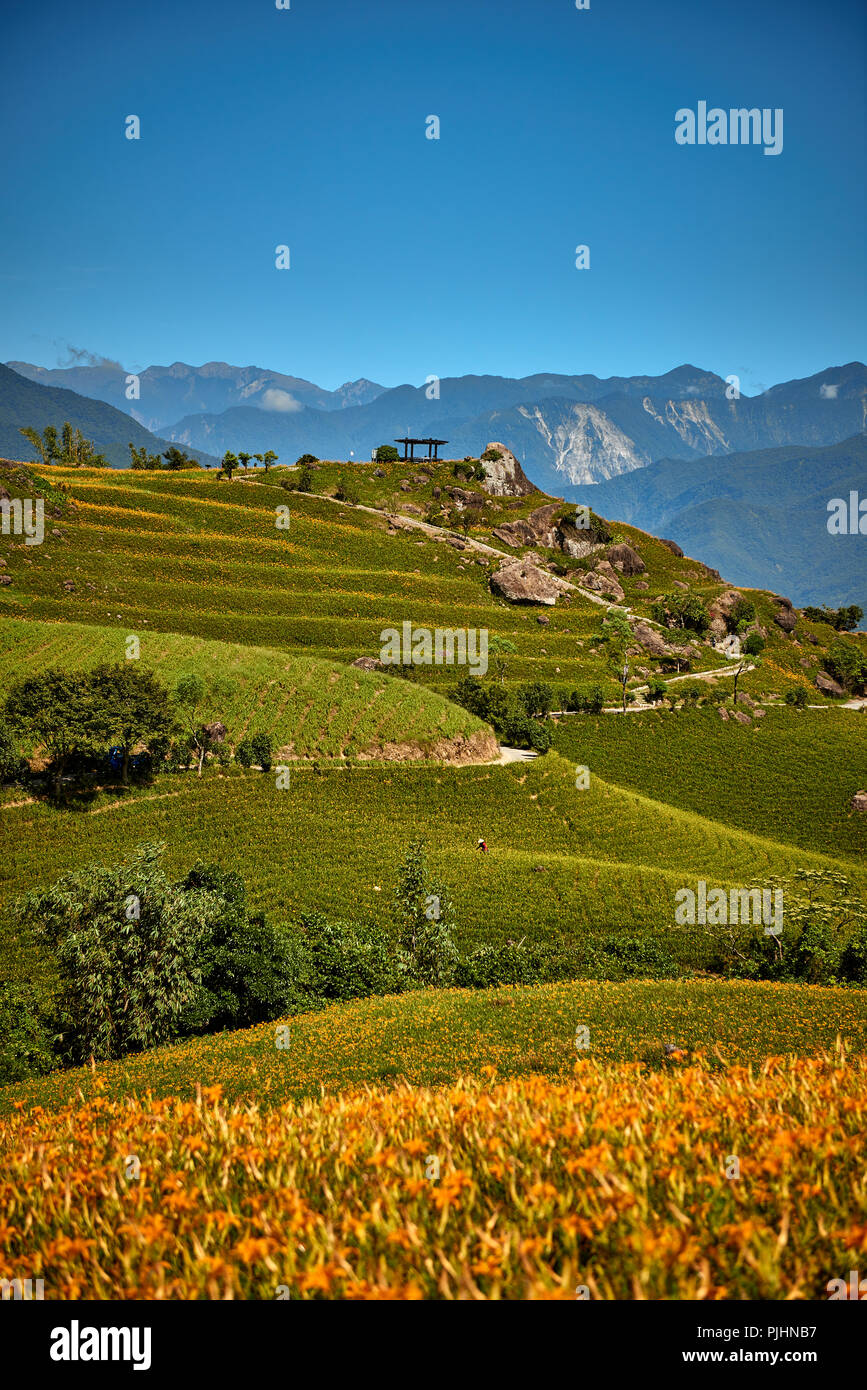 Terraced fields in taiwan hi-res stock photography and images - Alamy