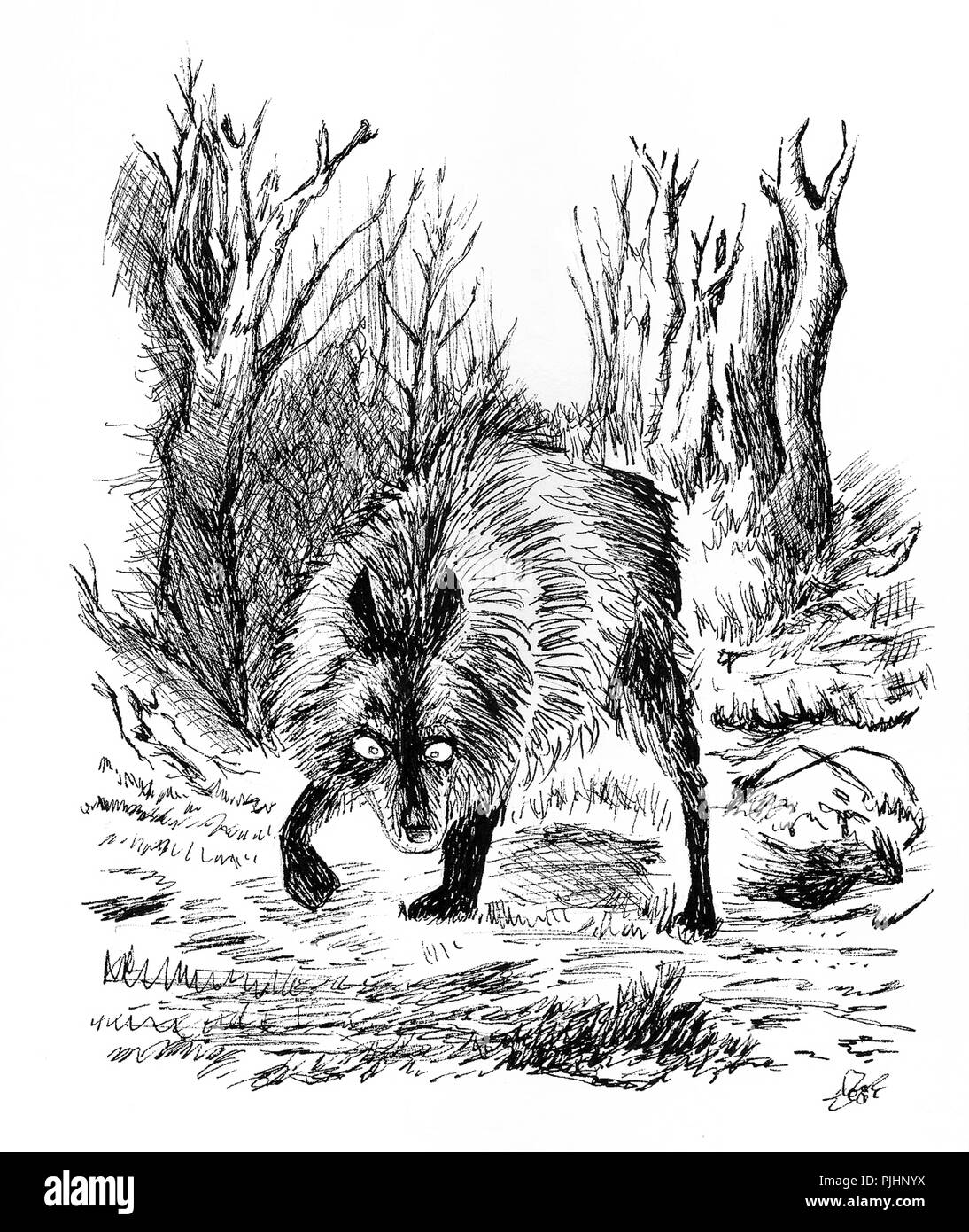 Alice in wonderland john tenniel party hi-res stock photography and ...