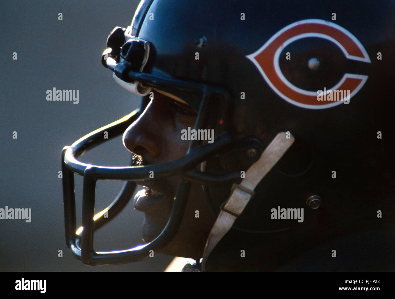 Famous Bears Running Backs