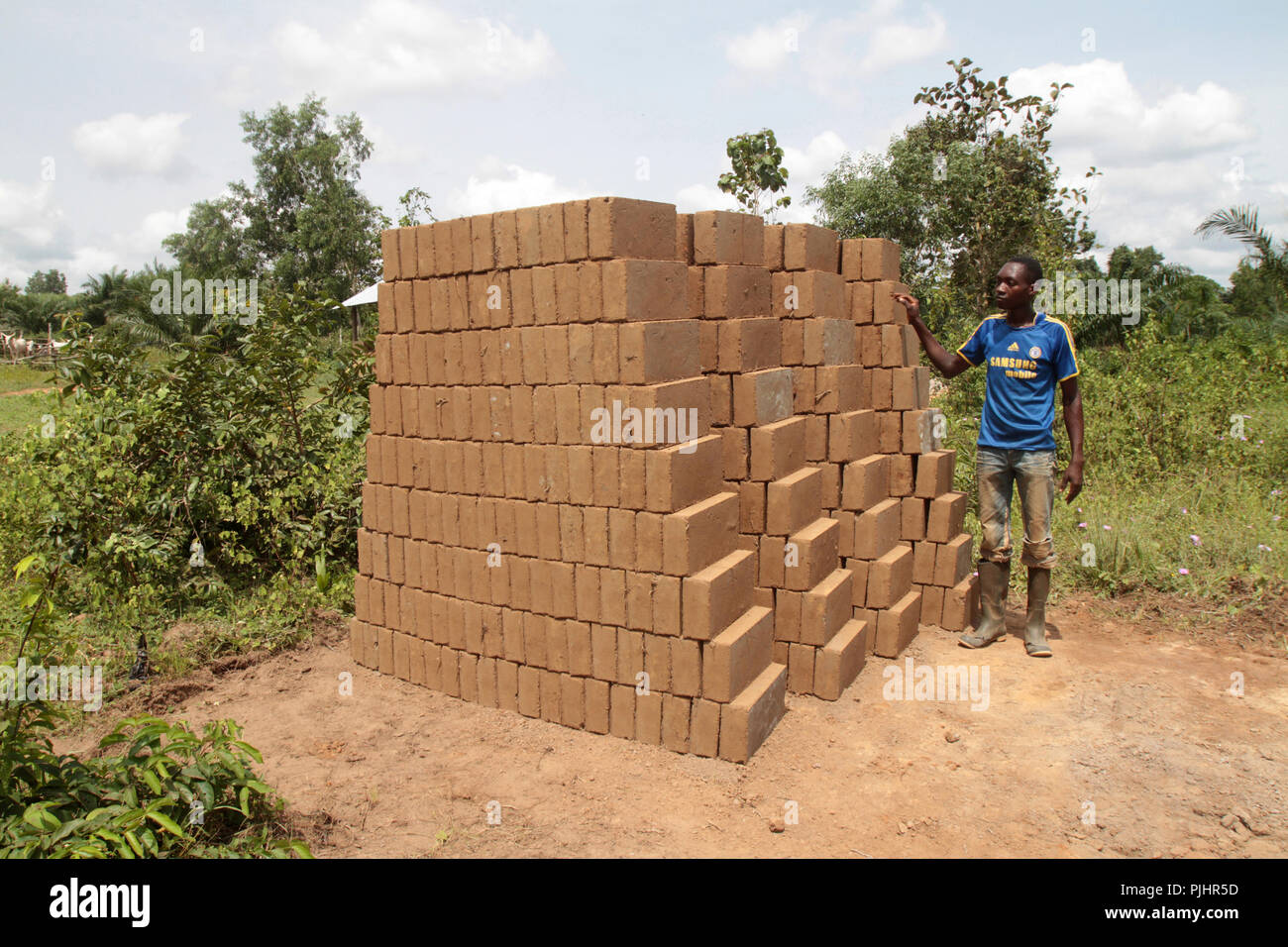 Stack of bricks in a farm. Tori. Benin Stock Photo - Alamy