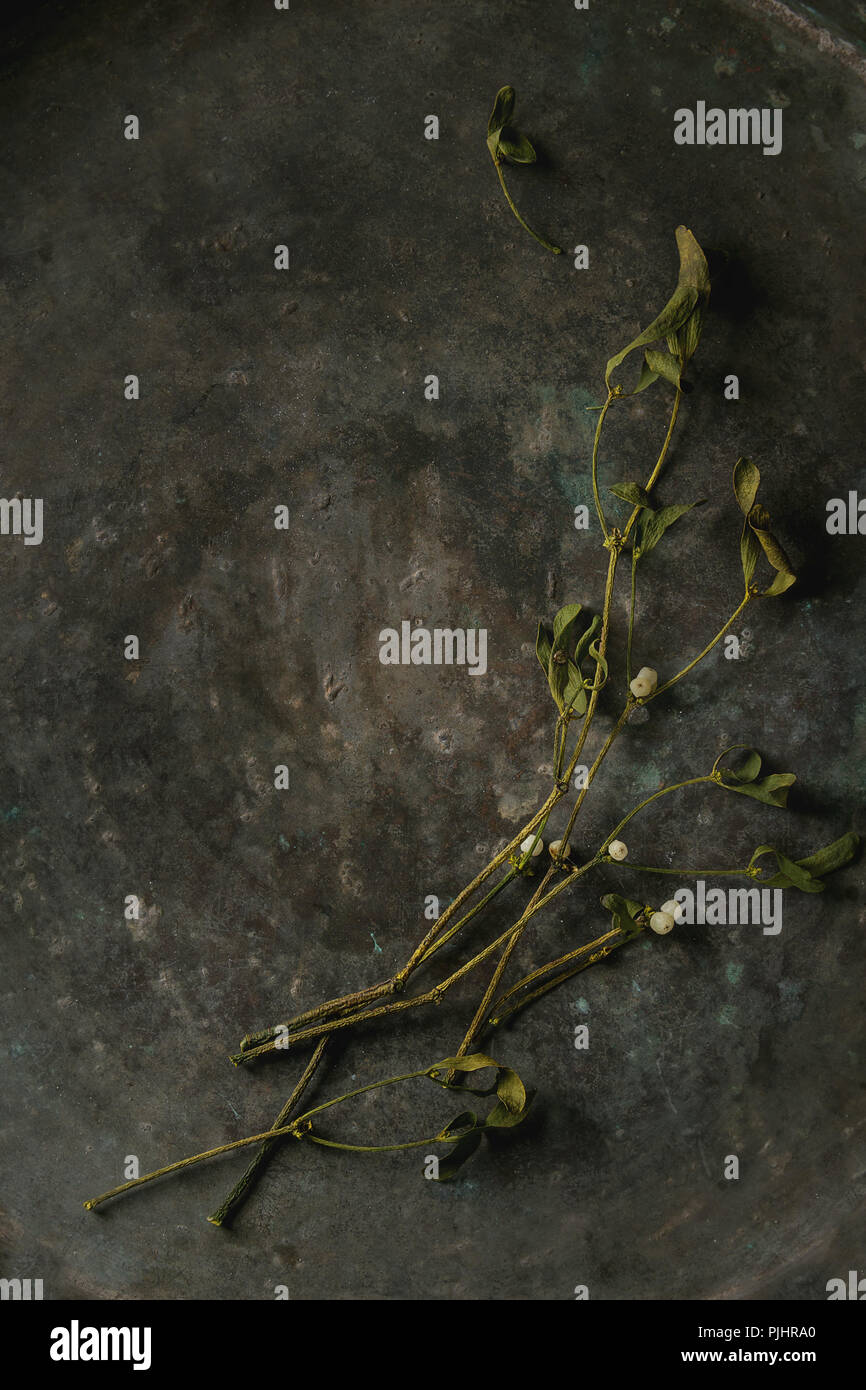 Branches of mistletoe Stock Photo - Alamy