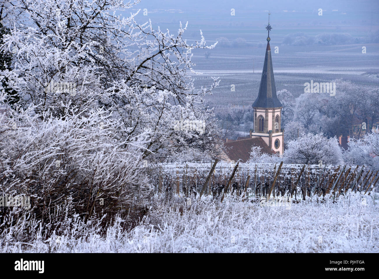Alsace vineyard winter hi-res stock photography and images - Alamy