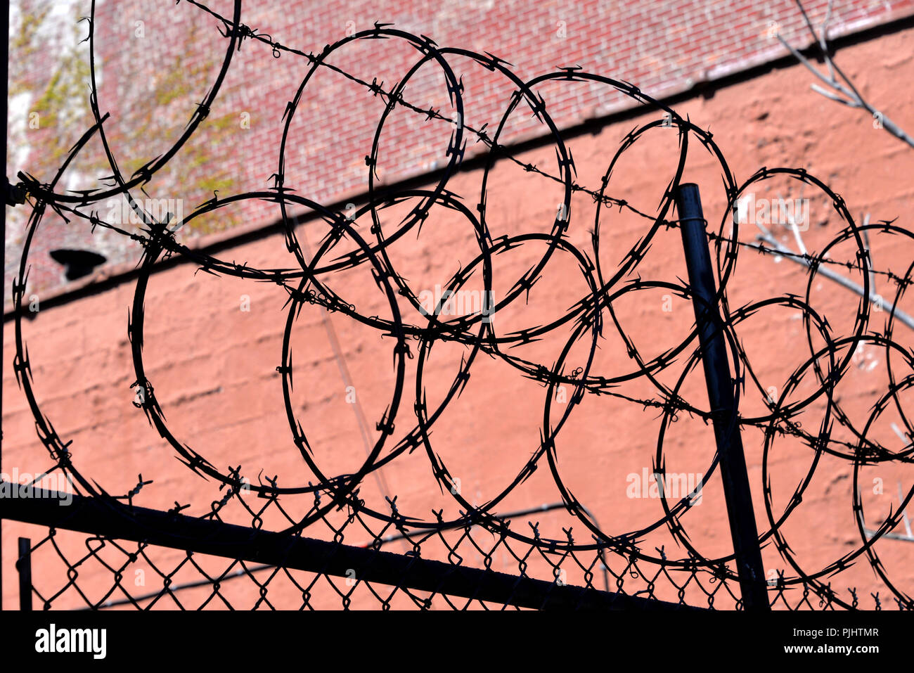 Black barbed wire hi-res stock photography and images - Alamy