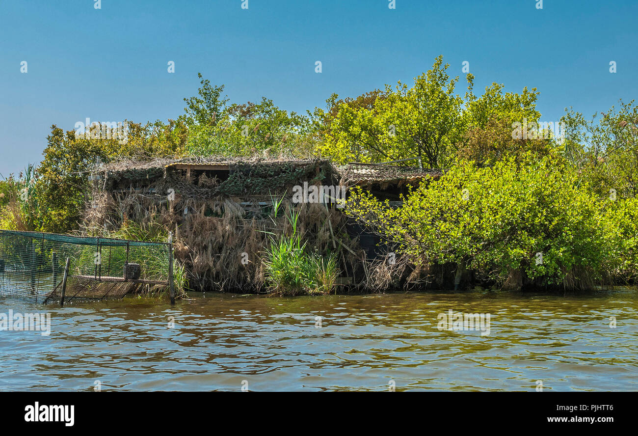 France, Landes, Courant d'Huchet national natural reserve, duck hunting ...