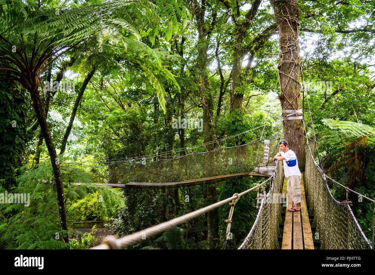 Rainforest martinique hi-res stock photography and images - Alamy
