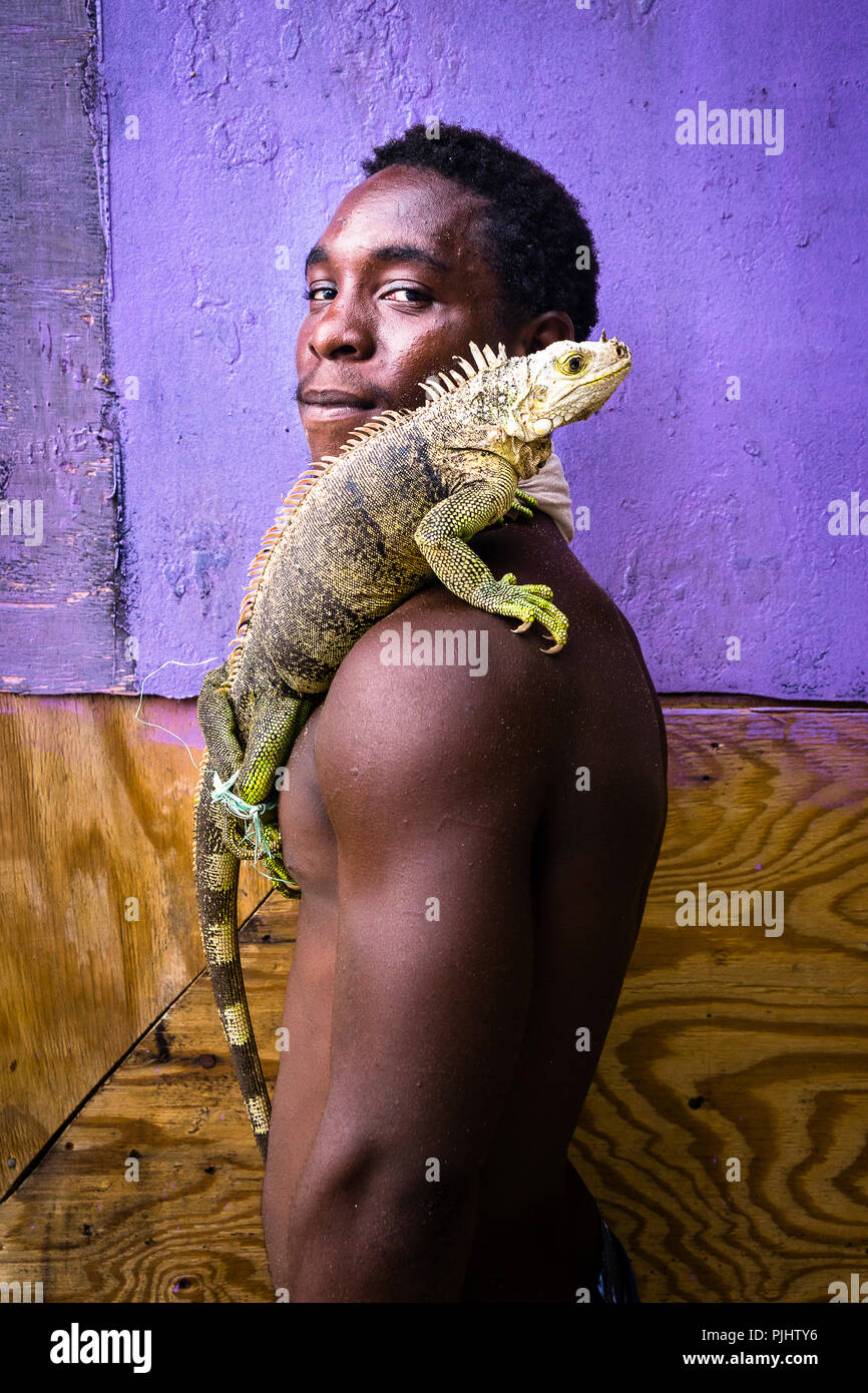 A youg man standing with an iguana on his shoulder, Chatham Bay, Union ...