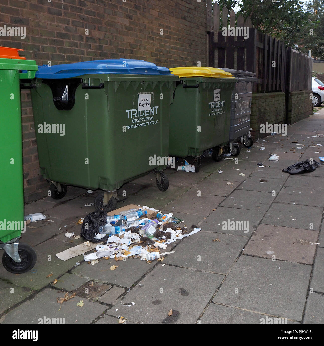 Green wheelie bins hi-res stock photography and images - Alamy