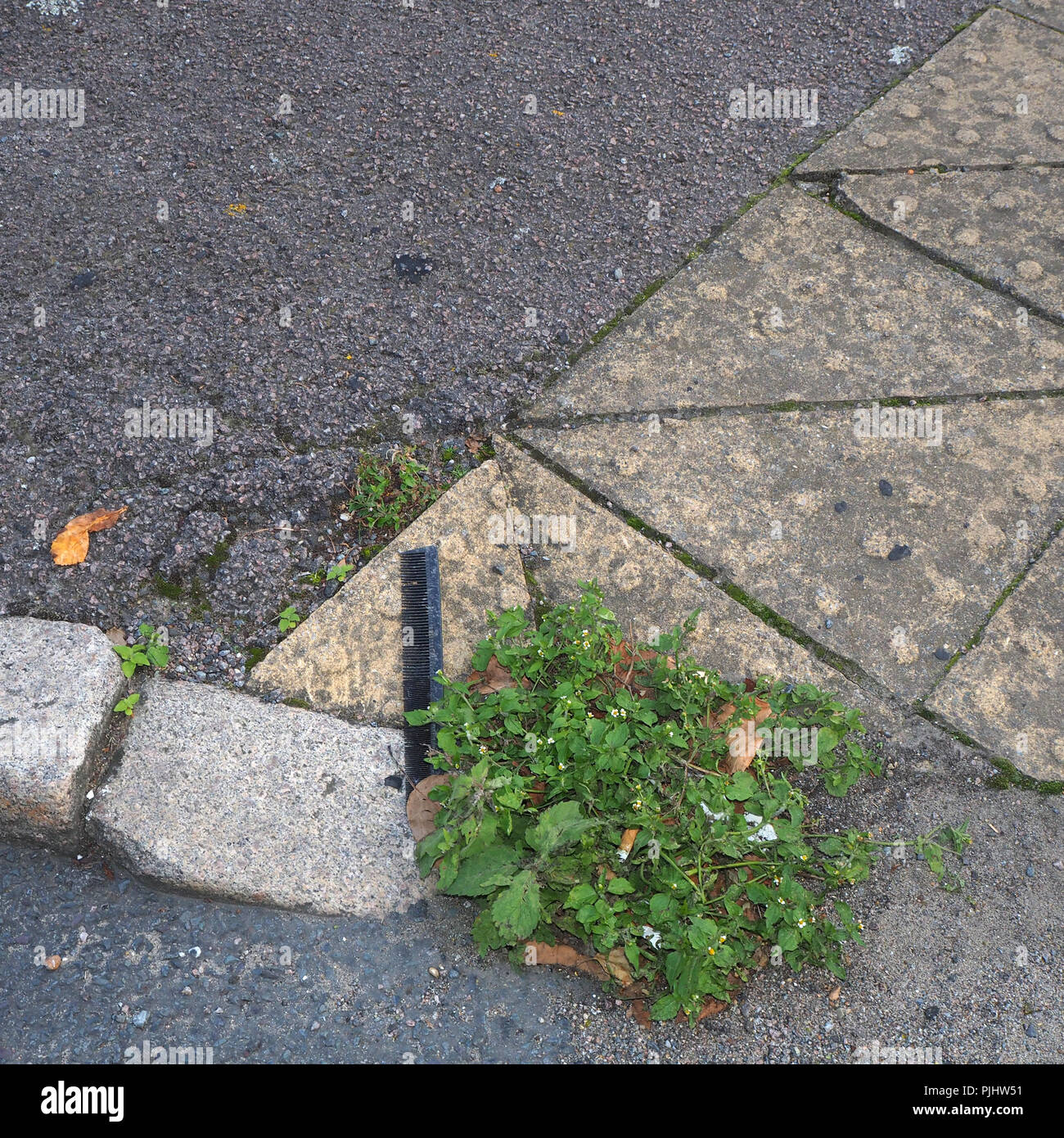 Litter & rubbish left on the street Stock Photo - Alamy