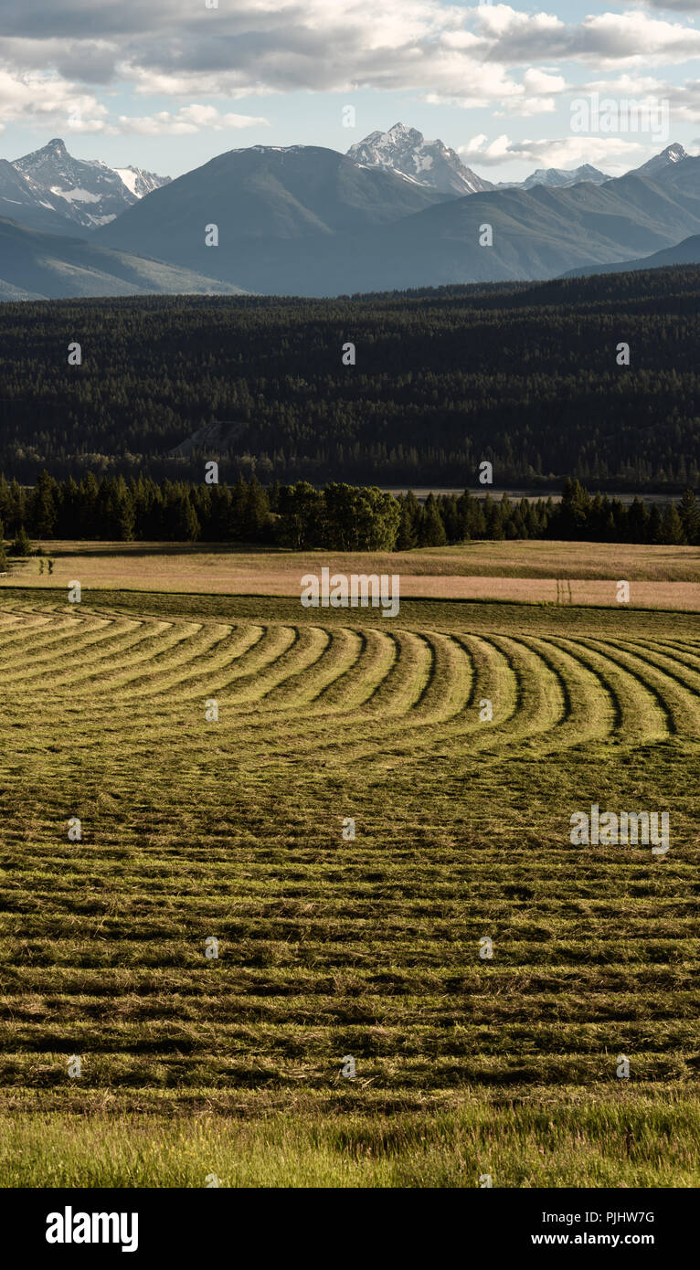 Purcell mountains at sunrise hi-res stock photography and images - Alamy