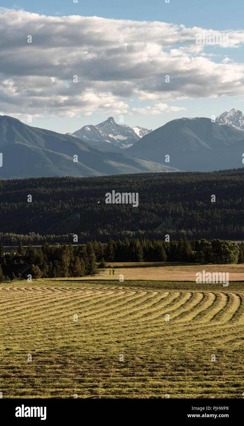 Purcell mountain range hi-res stock photography and images - Alamy