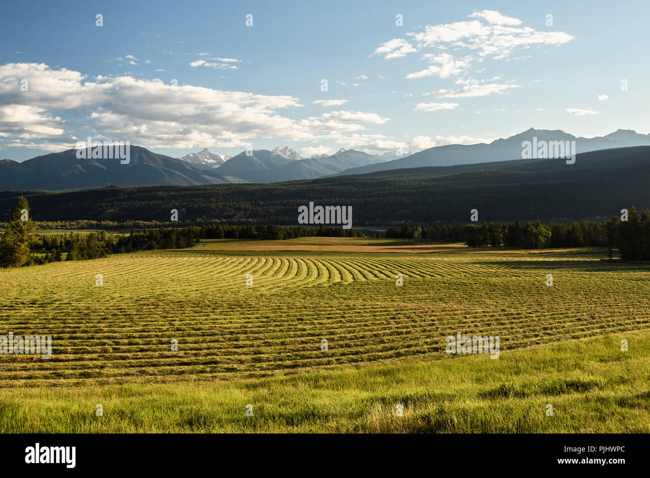 Purcell mountains at sunrise hi-res stock photography and images - Alamy