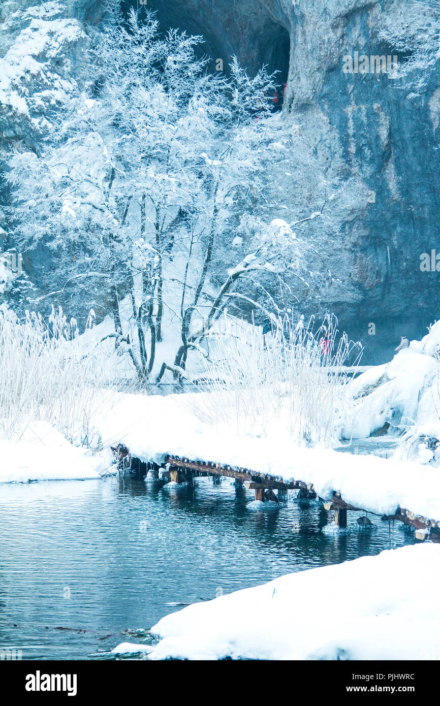 Wooden pedestrian bridge on lake in nature park Plitvice, Croatia Stock ...