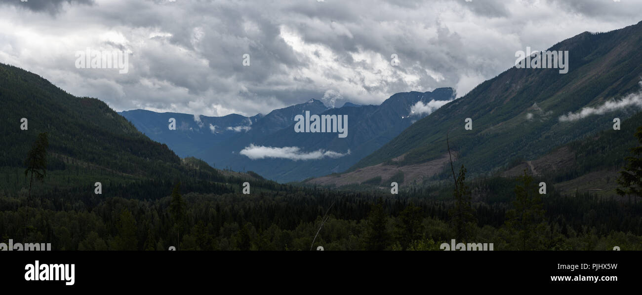 Raining over forest hi-res stock photography and images - Alamy