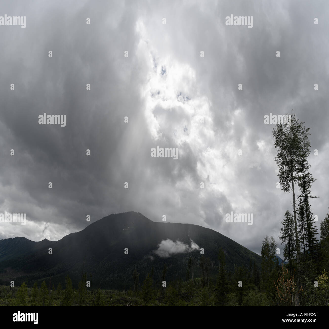 Woods scene dramatic hi-res stock photography and images - Alamy