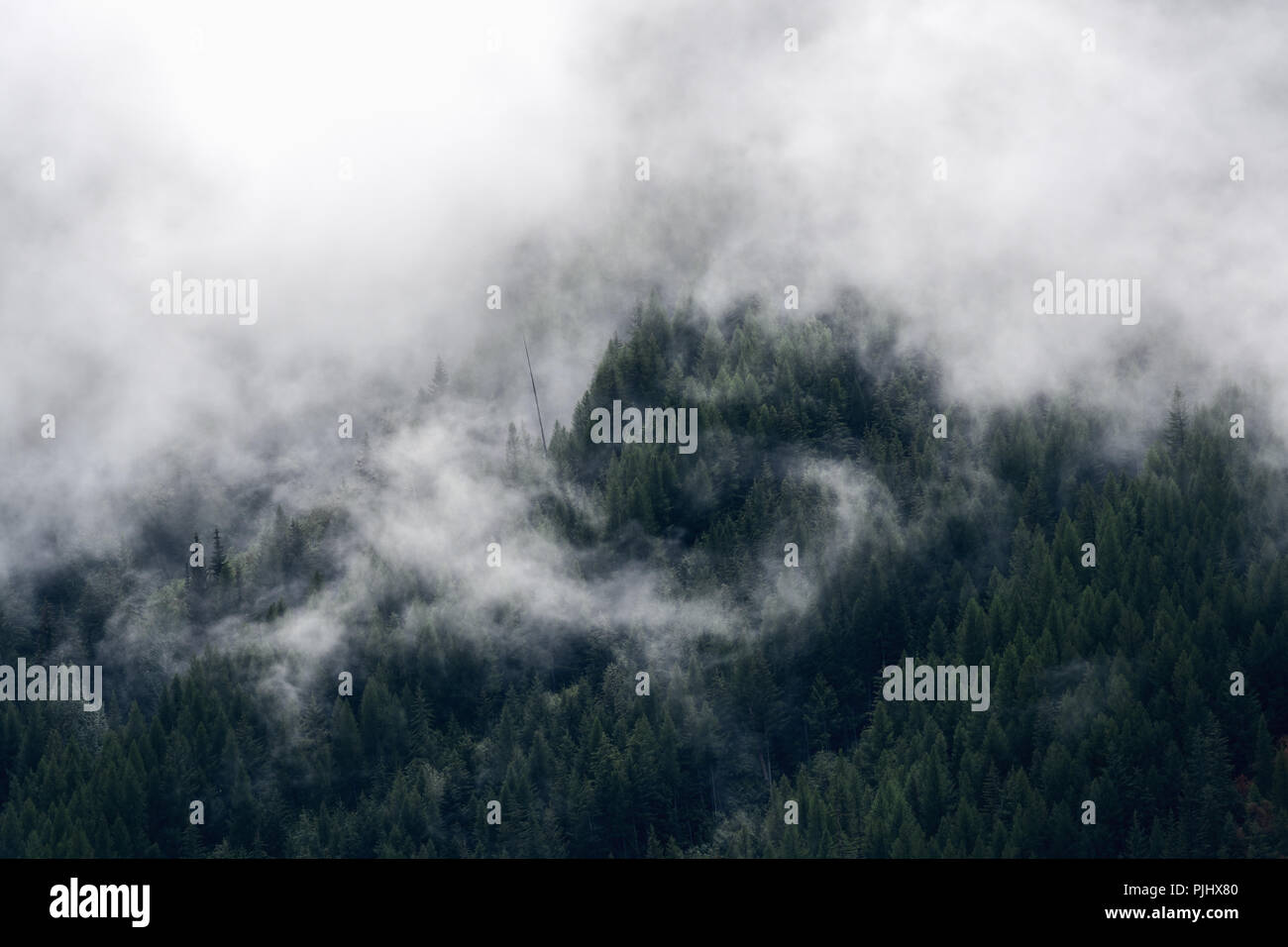 Mist rising in mountains after storm Stock Photo - Alamy
