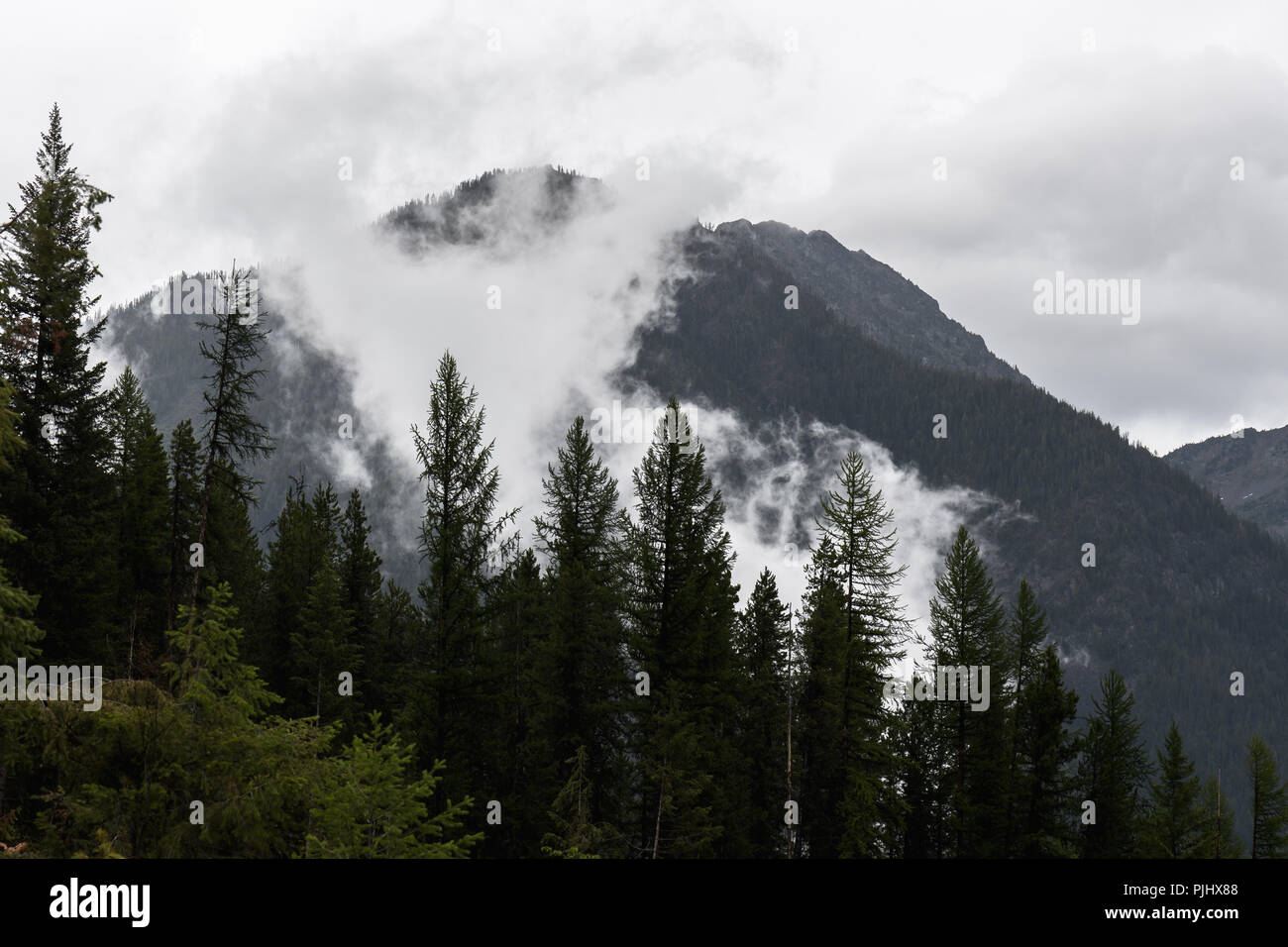Canadian wilderness with dramatic sky Stock Photo - Alamy