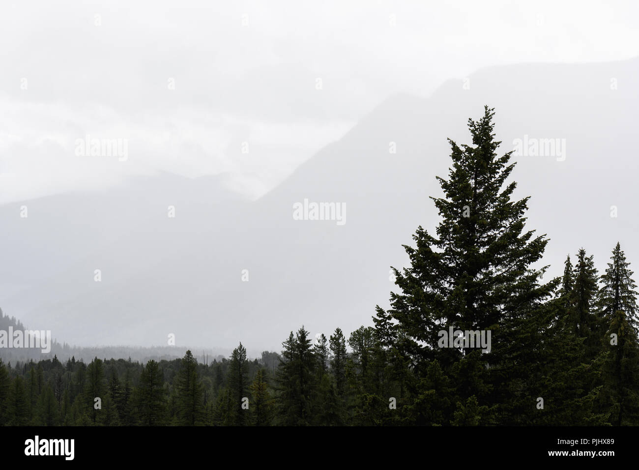 Mist rising in mountains after storm Stock Photo - Alamy