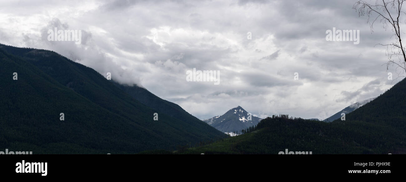 Canadian logging industry hi-res stock photography and images - Alamy