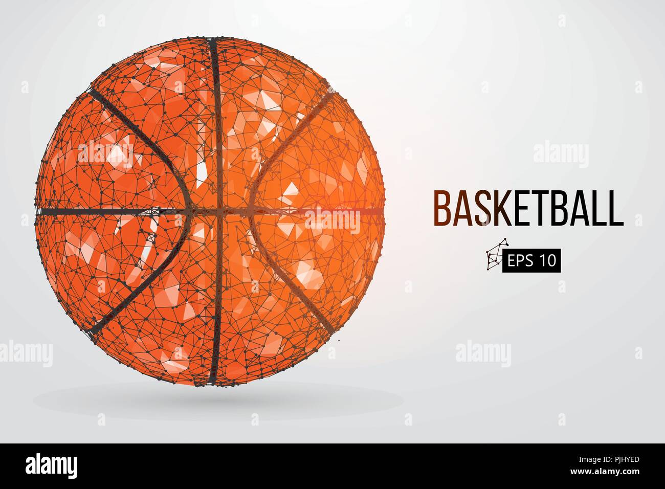 Basketball Ball Lines Vector