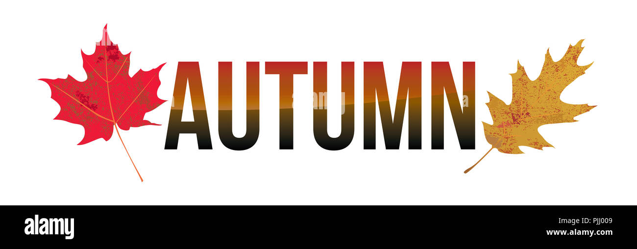 The word AUTUMN and colorful fall leaves on a white background. Vector ...