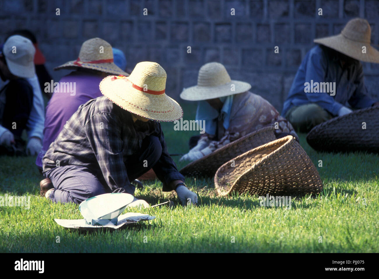 Gargening hi-res stock photography and images - Alamy