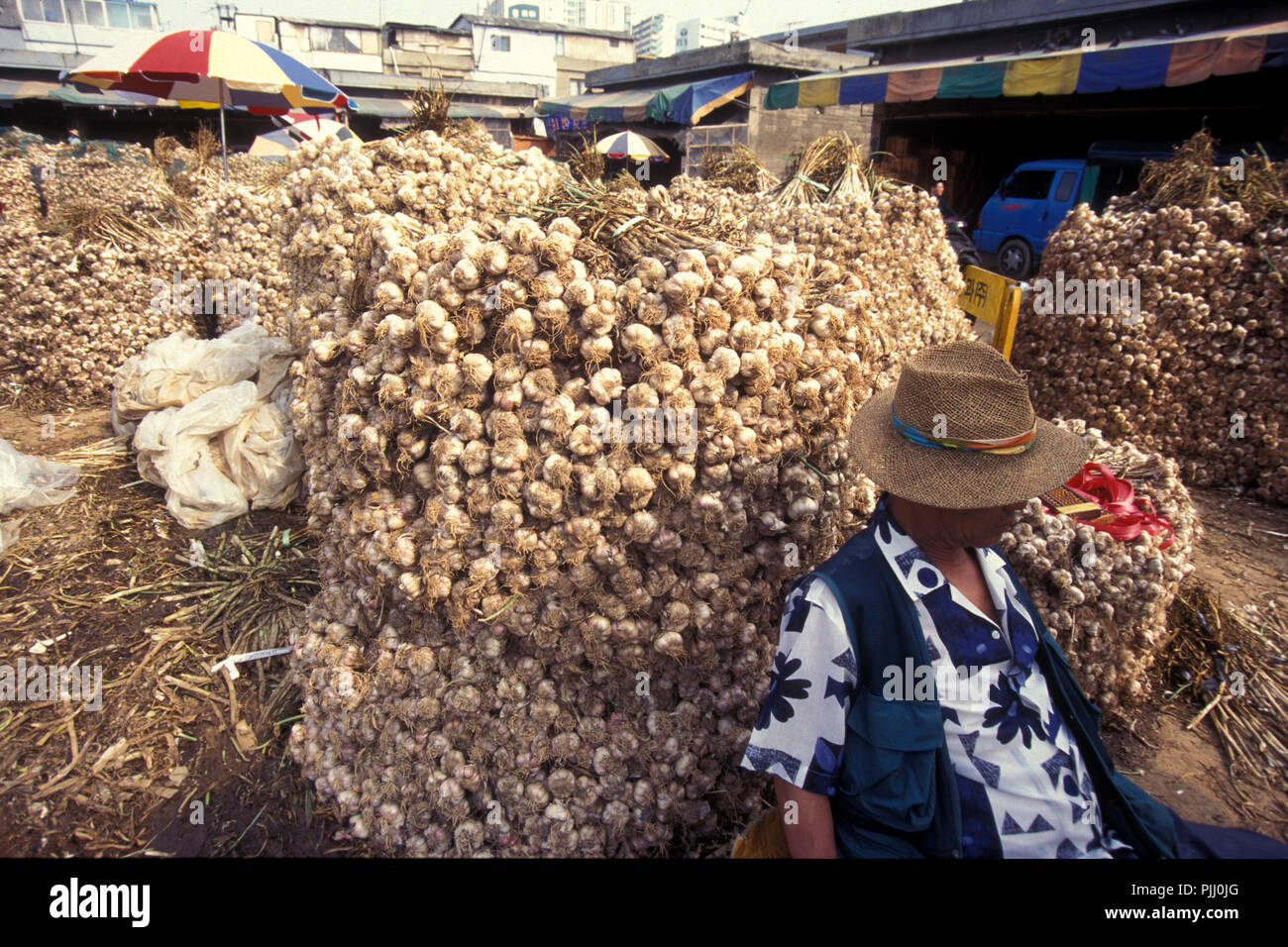 garlic in a shop on a market in the city of Seoul in South Korea in ...