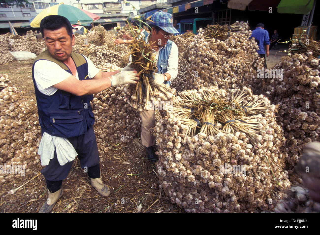 garlic in a shop on a market in the city of Seoul in South Korea in ...