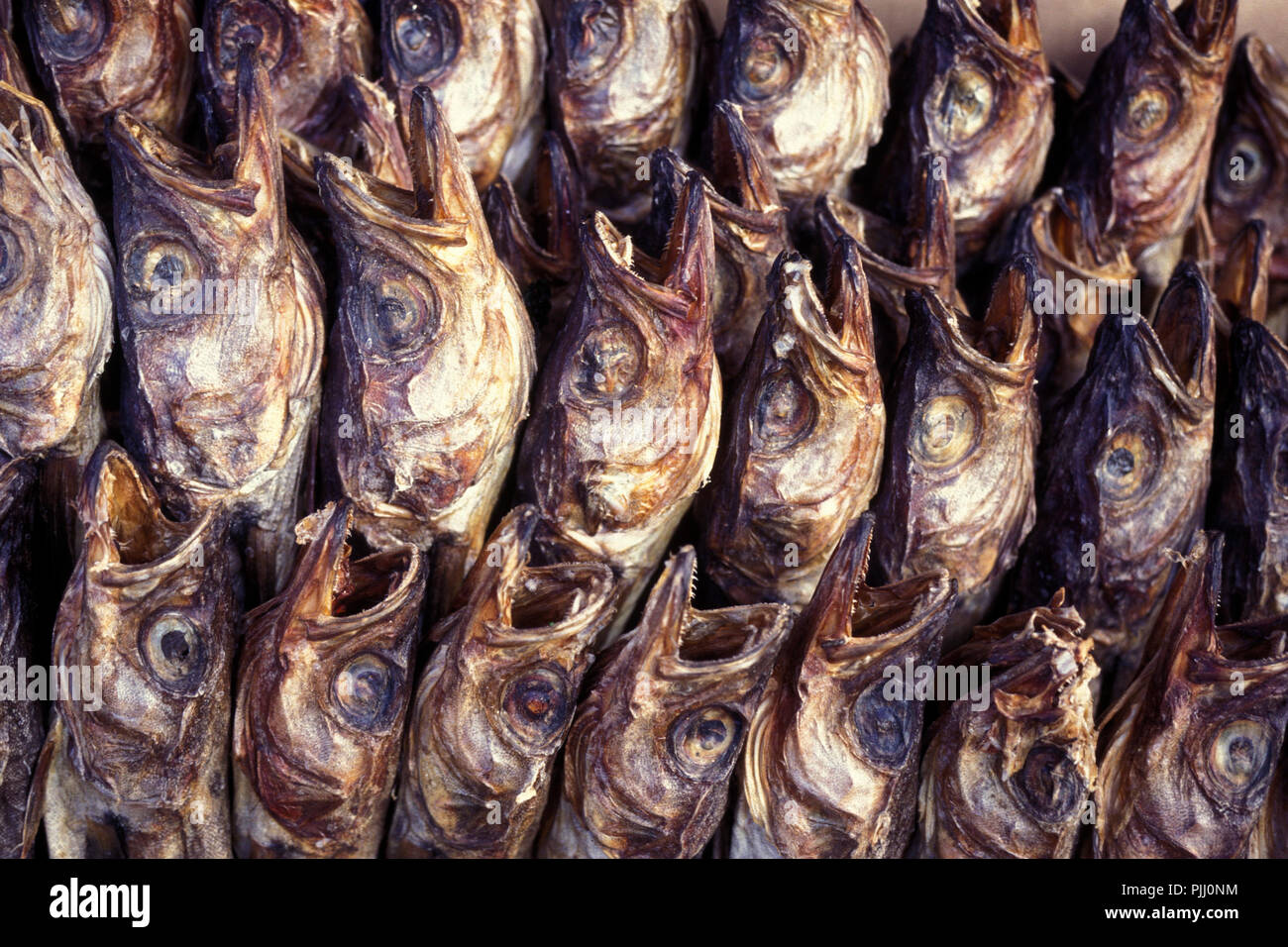 dry fish at a fishmarket on a foodmarket market in the city of Seoul in ...