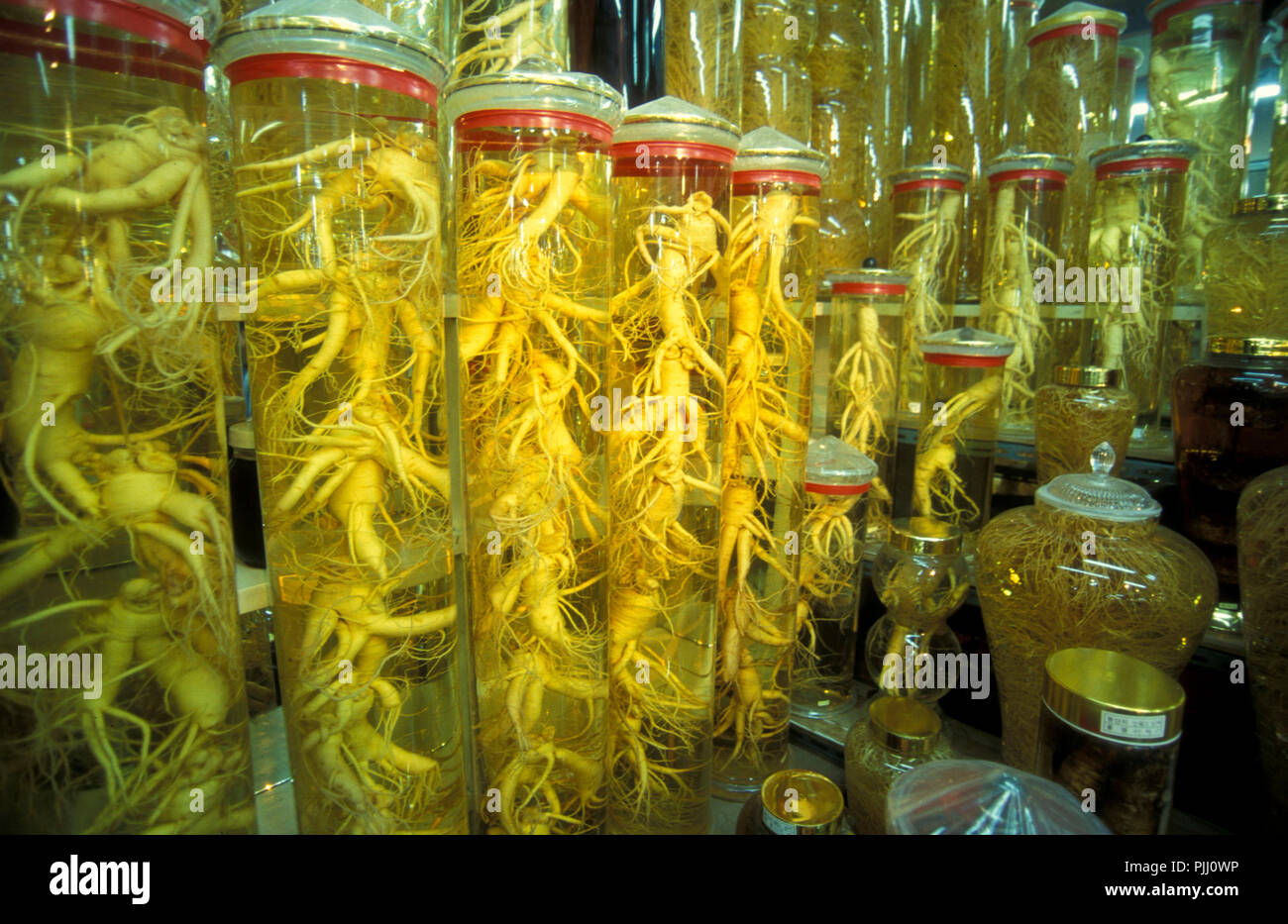 ginseng in a shop on a market in the city of Seoul in South Korea in ...