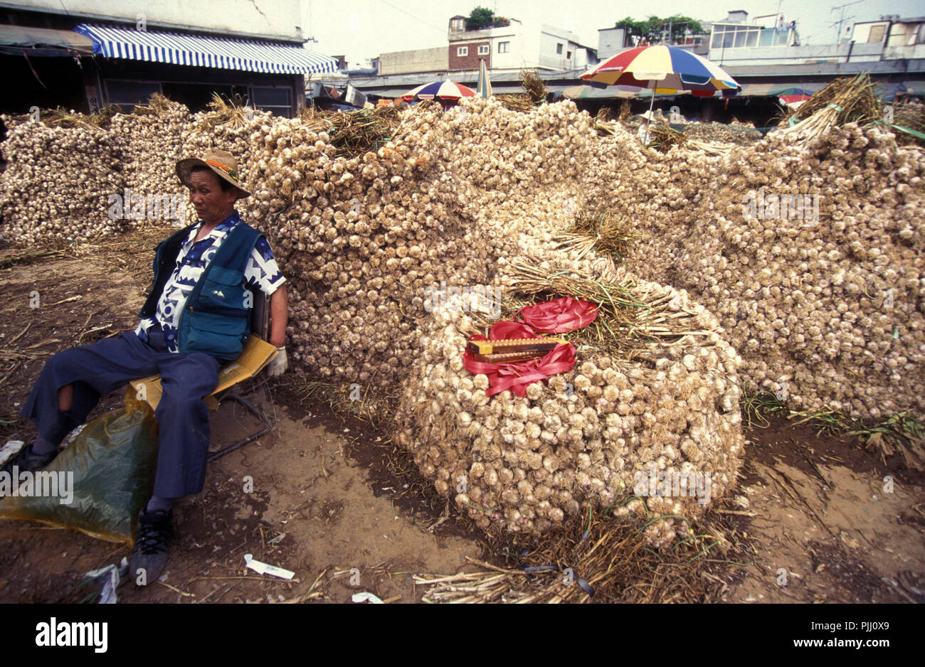 garlic in a shop on a market in the city of Seoul in South Korea in ...