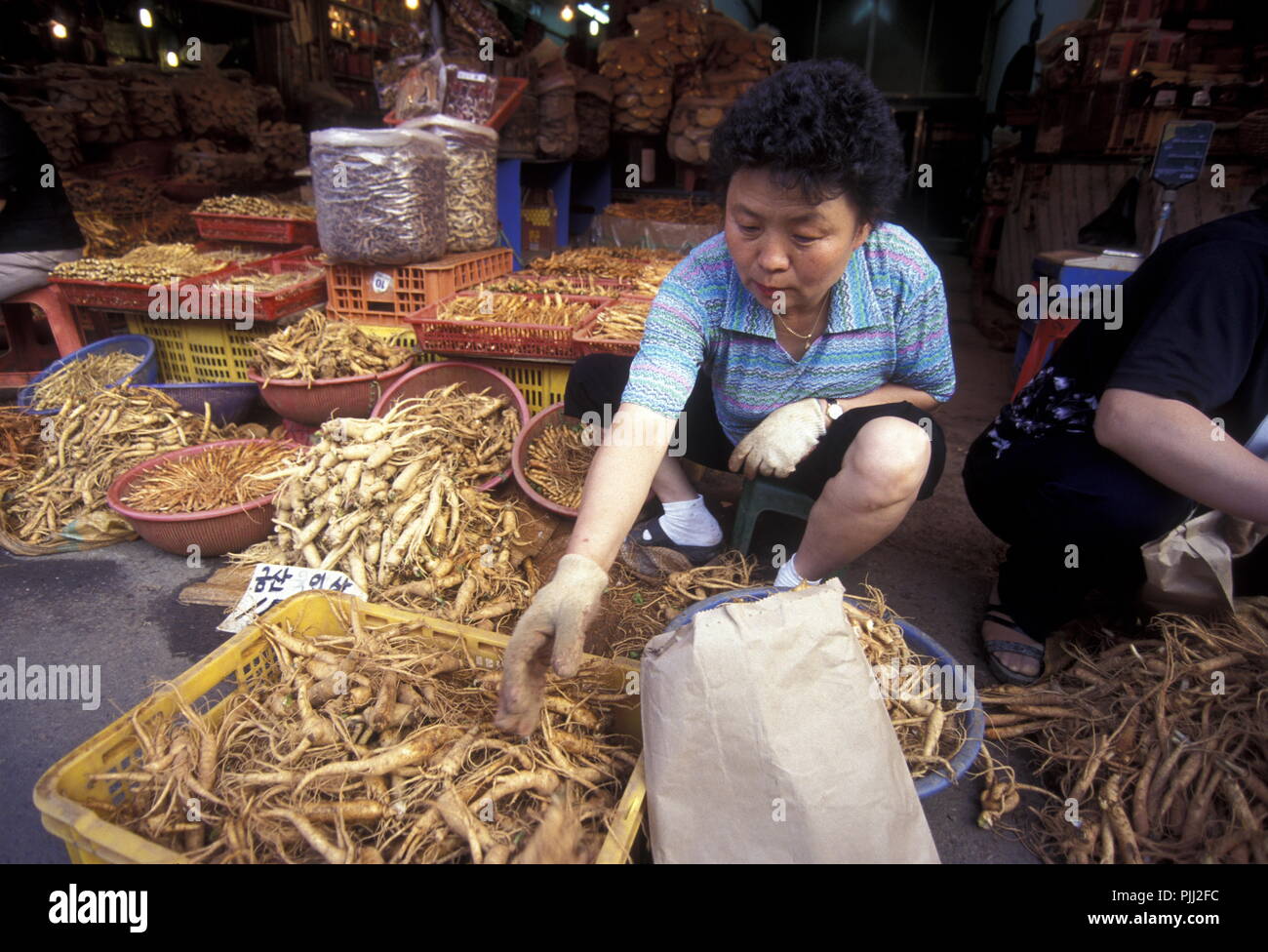 ginseng in a shop on a market in the city of Seoul in South Korea in ...