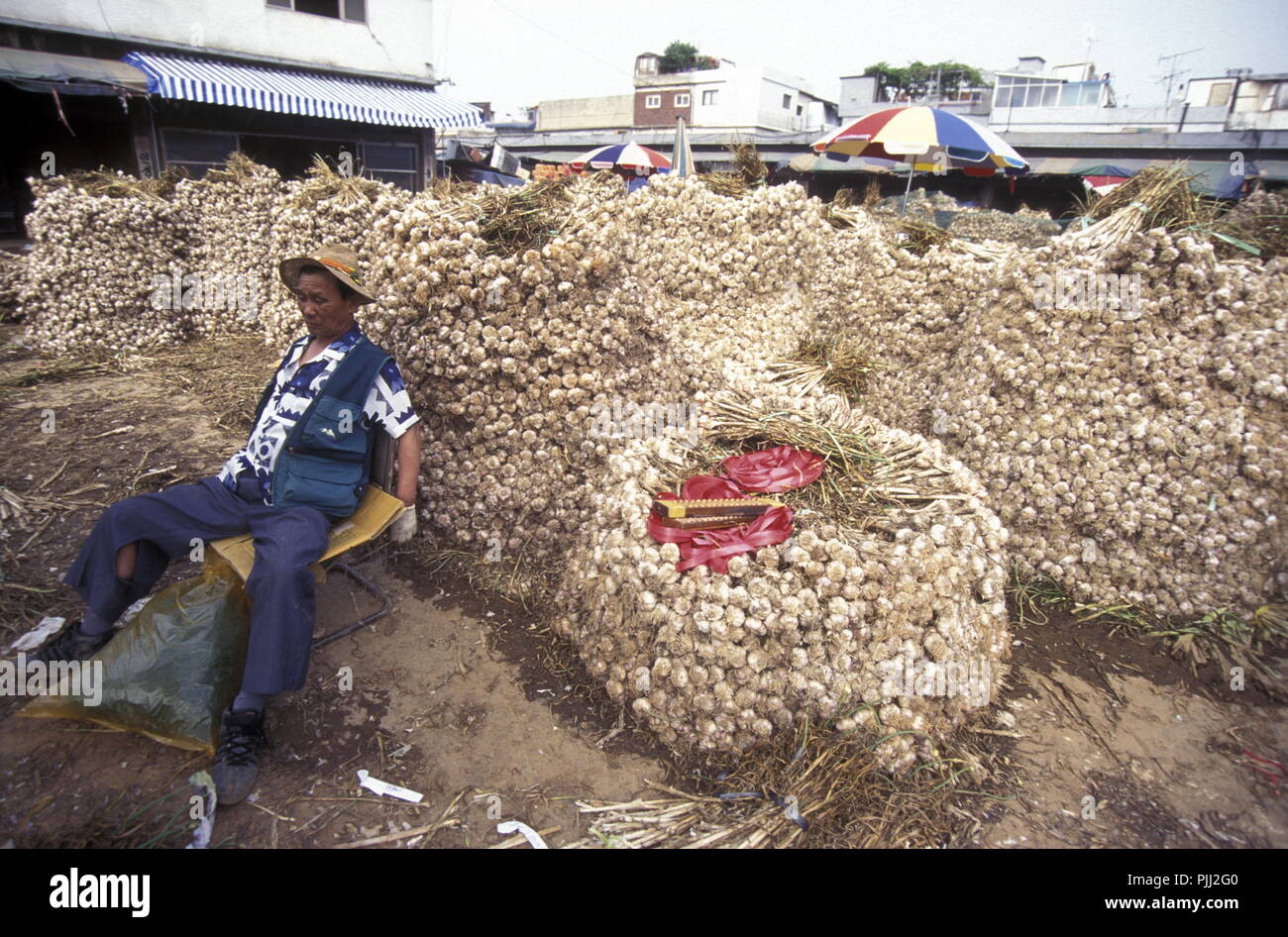 garlic in a shop on a market in the city of Seoul in South Korea in ...