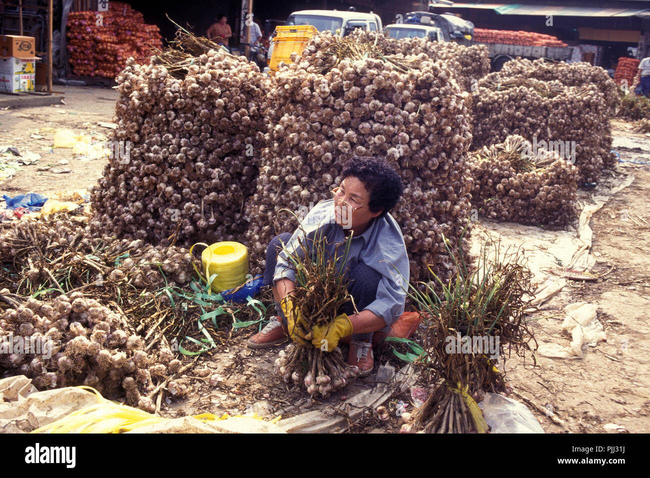 garlic in a shop on a market in the city of Seoul in South Korea in ...