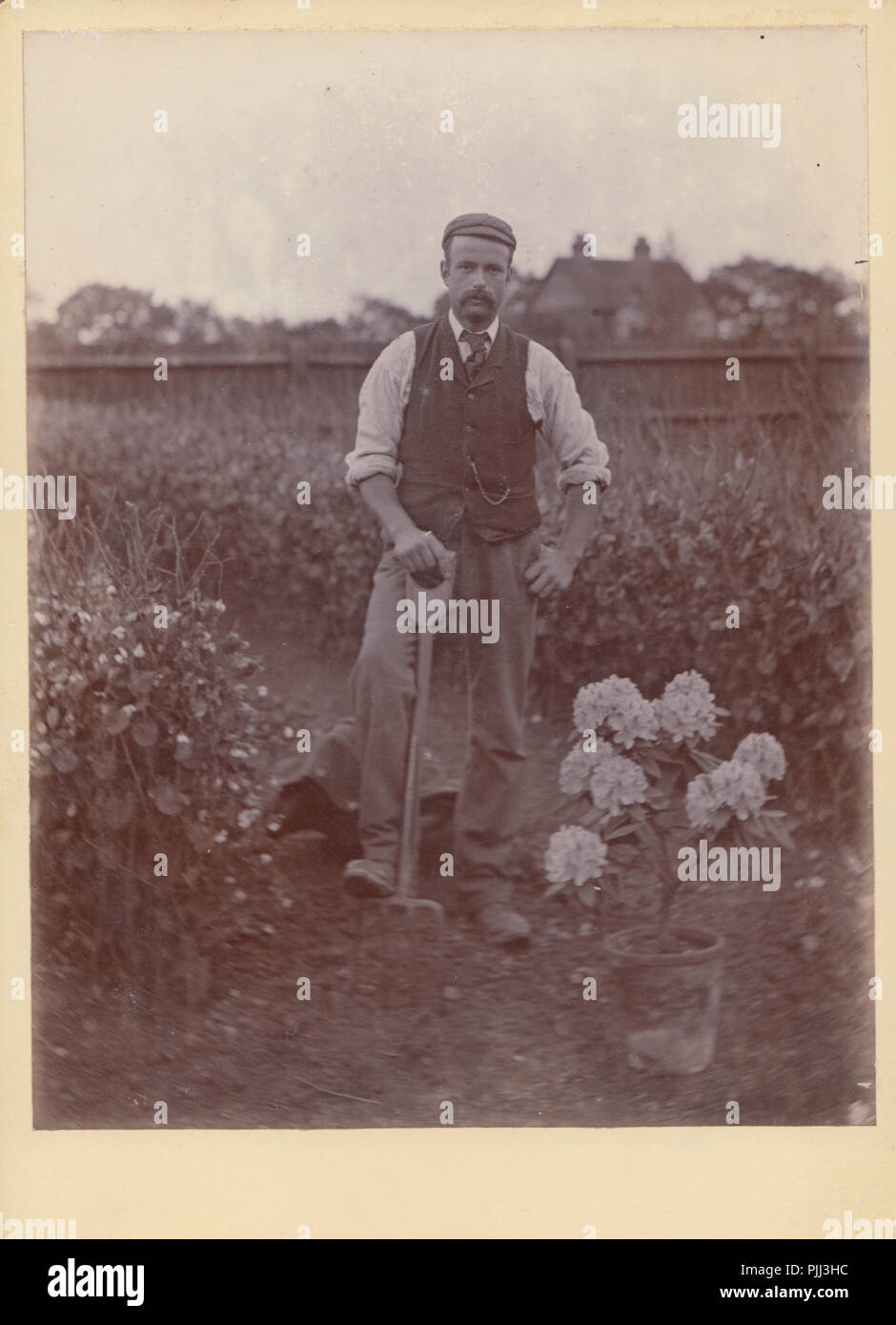 Victorian Planting Stock Photos & Victorian Planting Stock Images - Alamy