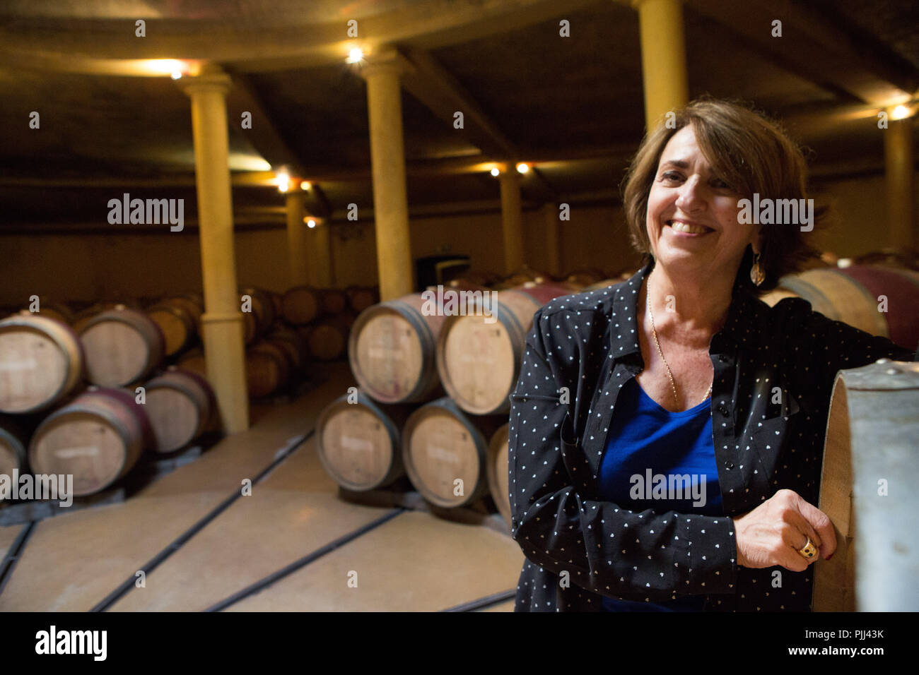 South Africa. Western Cape. Cape peninsula. Wine road. For over 20 ...