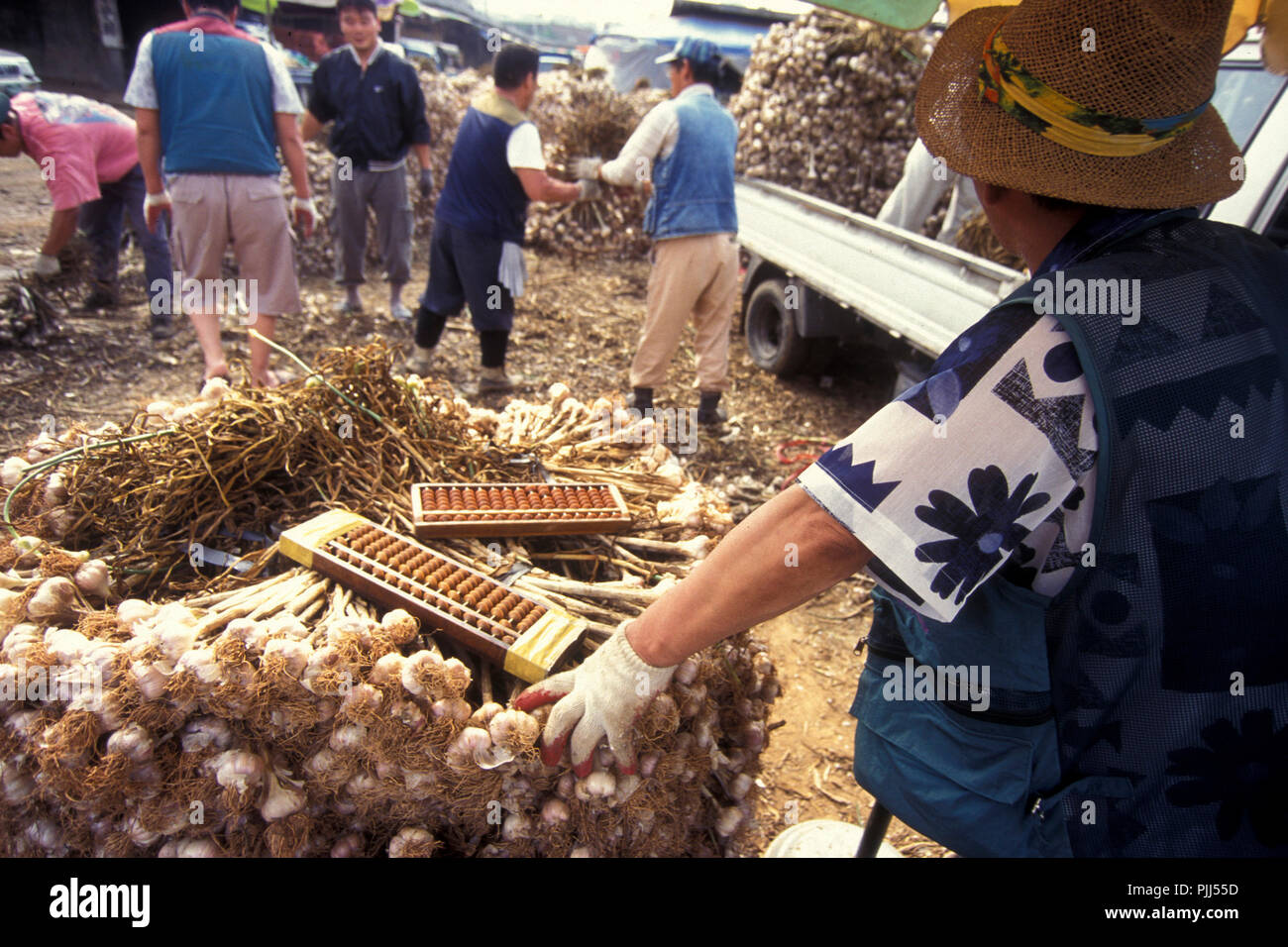 garlic in a shop on a market in the city of Seoul in South Korea in ...