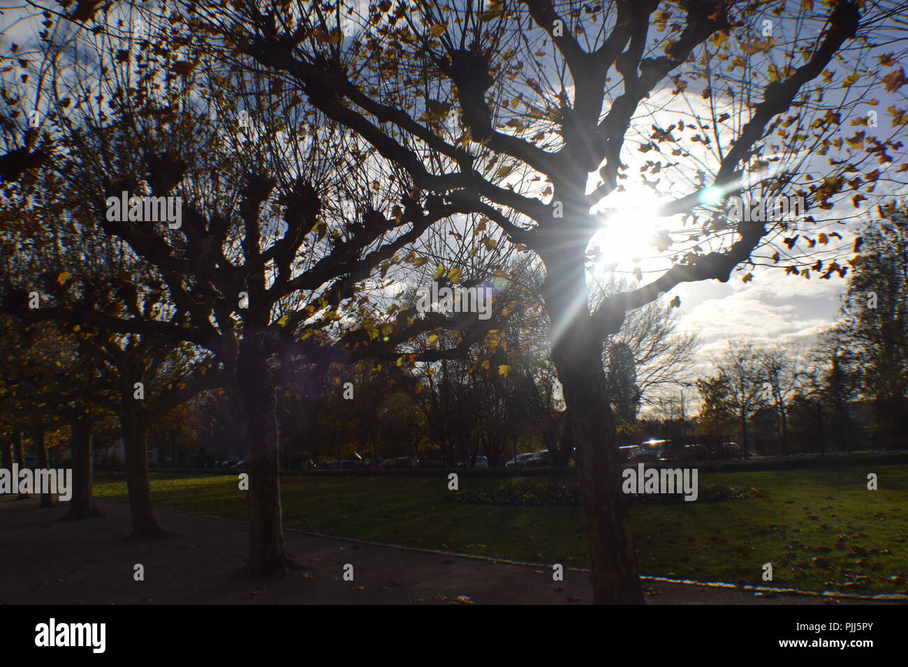 Autumn at Worms Stock Photo - Alamy